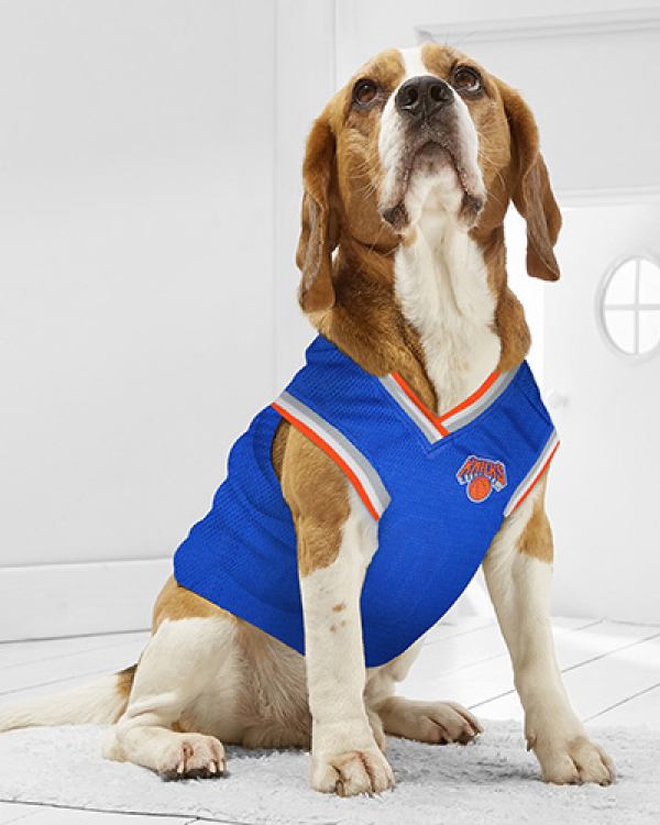 NBA New York Knicks Dog Jersey Dawg Team USA