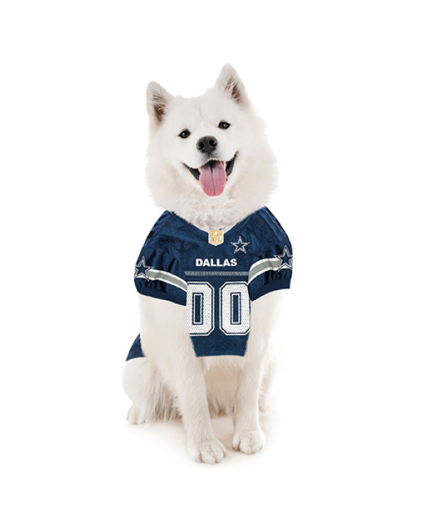 Top 9 NFL Jerseys For Dogs (2025 Updated List)